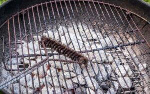 How To Clean Rusty Grill Grates: Keeping It Clean And Rust-Free ...