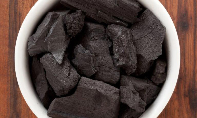 The Best Way To Store Charcoal: Outdoor Storage Tips And Tricks ...