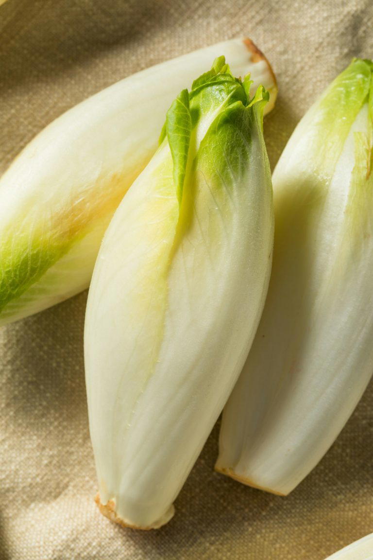 Witlof? What Aussies Call Endive!