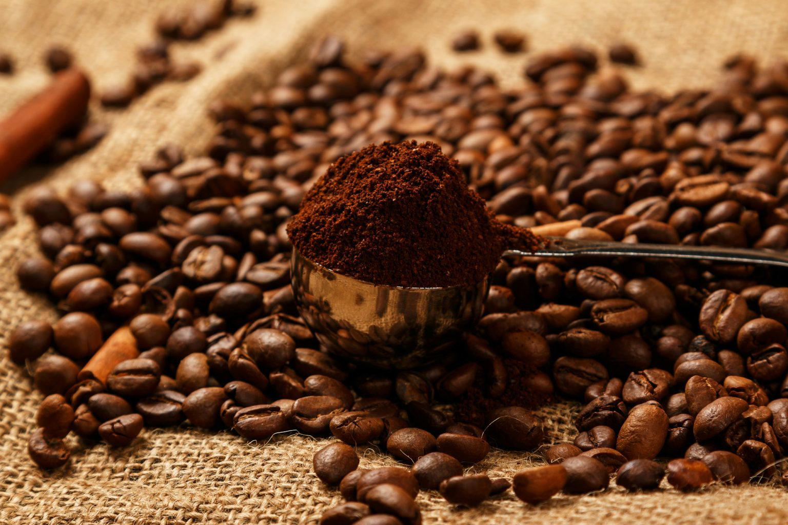 How Many Scoops Of Coffee For A 34 Oz French Press? • BoatBasinCafe